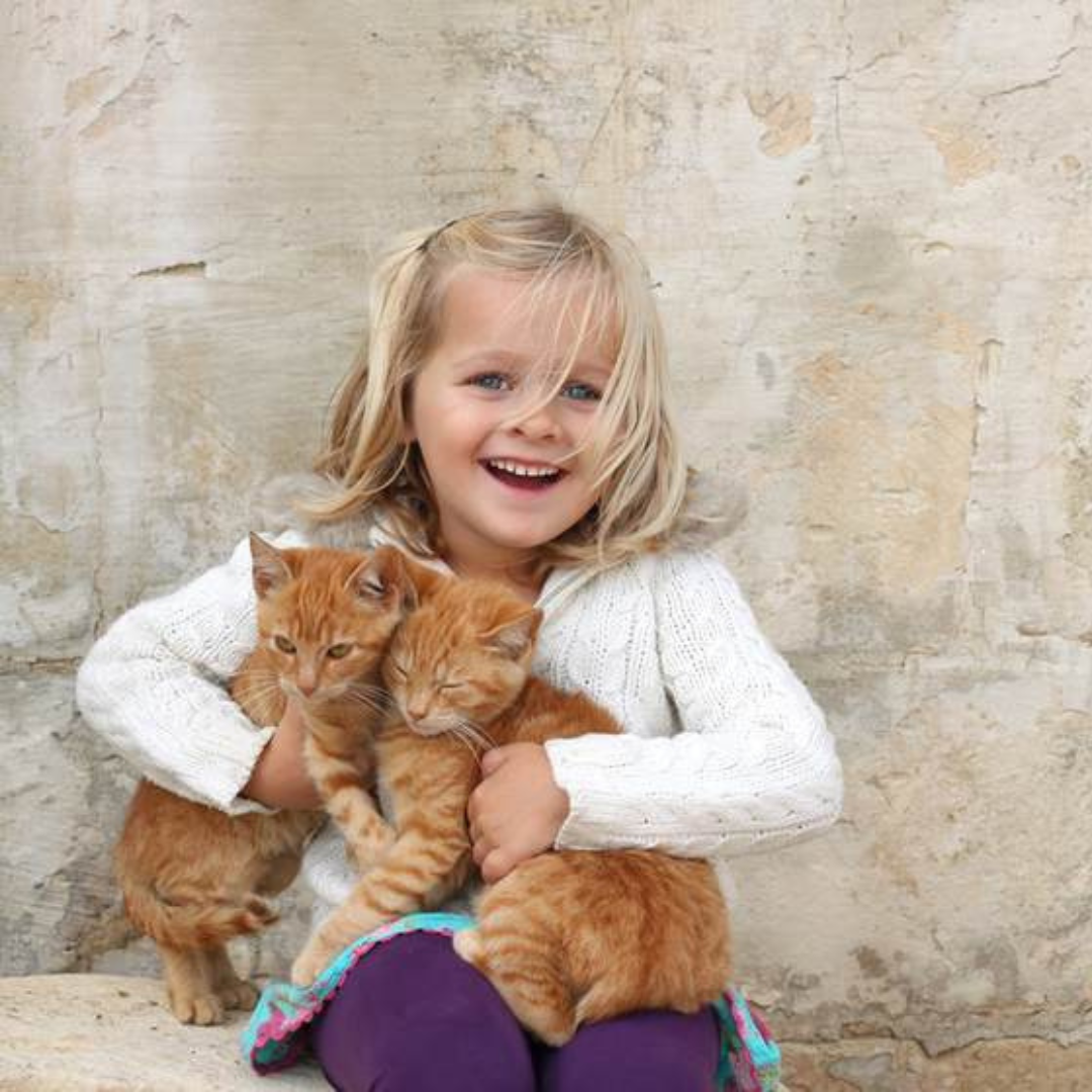 Ten Great Cat Breeds for Kids - For Kitty's Sake
